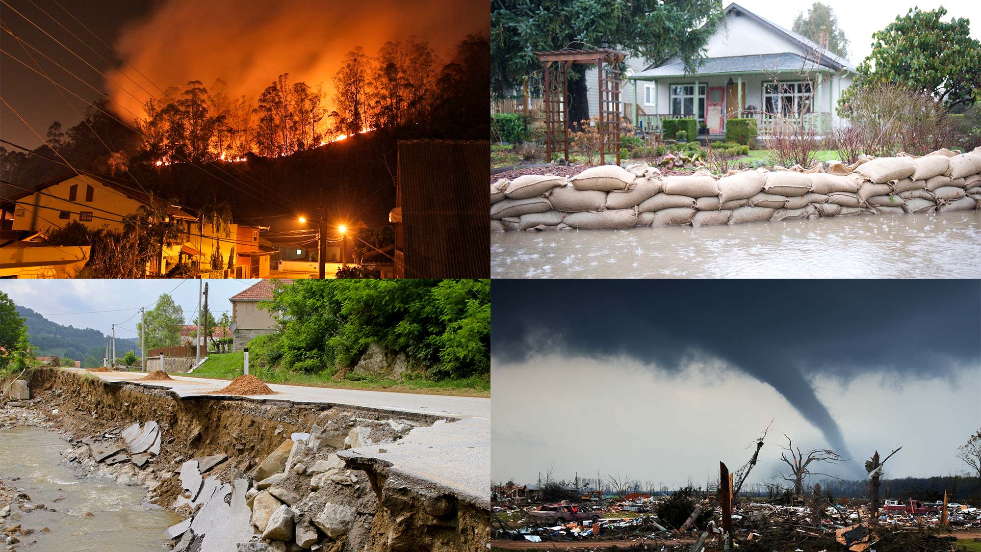 Natural Disaster Resources – RAPID INTERNATIONAL